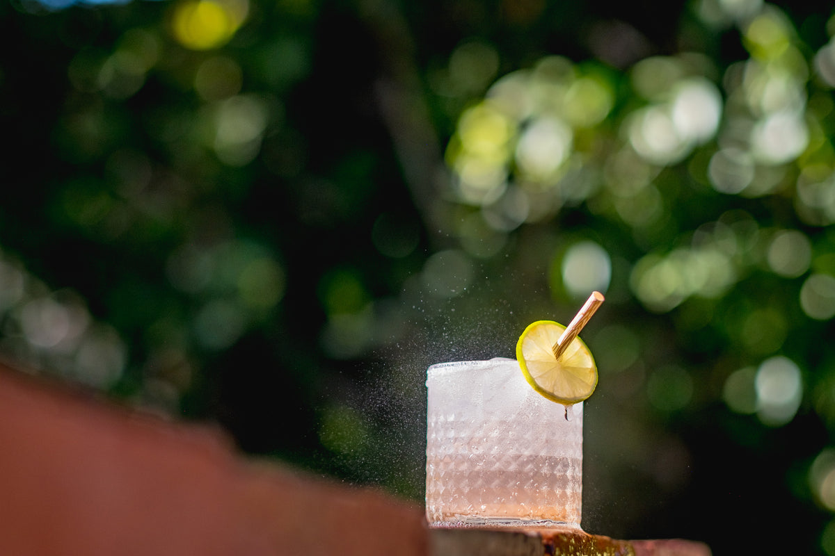 Watermelon + Fennel + Lime Shrub Soda – Shrubwell